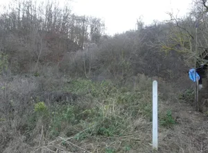 Prodaja Građevinsko zemljište - Jagodina