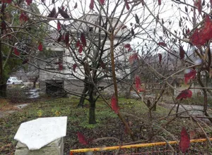Prodaja Vila - Jagodina