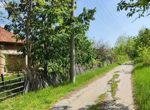 Prodaja Vila - Jagodina