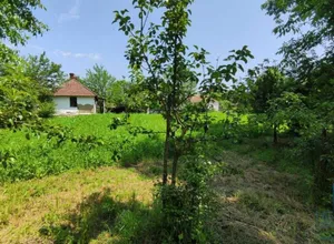 Prodaja Vila - Jagodina