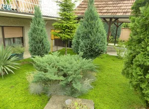 Prodaja Vila - Jagodina
