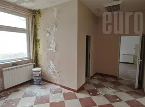Izdavanje Vila - Pančevo, Centar