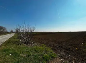 Prodaja Građevinsko zemljište - Inđija