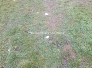 Prodaja Građevinsko zemljište - Beograd, Surčin Centar