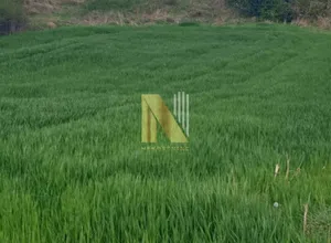 Prodaja Građevinsko zemljište - Novi Sad, Stari Grad: Centar - Novi Bulevar