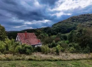 Prodaja Vila - Irig