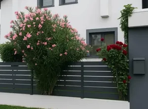 Prodaja Vila - Novi Sad