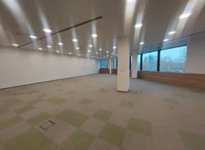 Izdavanje Kancelarija - Beograd, Novi Beograd: Ušće - Gazela - Staro Sajmište