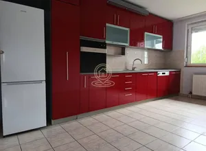 Izdavanje Stan - Beograd, Savski Venac: Dedinje