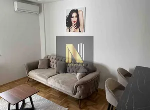Izdavanje Stan - Novi Sad, Detelinara: Stara Detelinara - Nova Detelinara