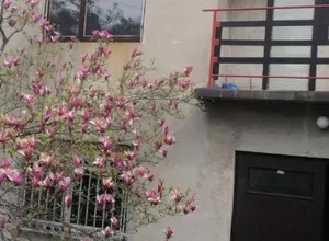 Prodaja Vila - Beograd, Obrenovac: Draževac - Konatice