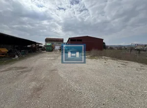 Izdavanje Proizvodni objekat - Ćuprija
