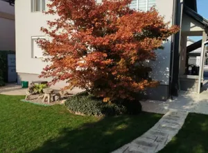 Prodaja Vila - Beograd, Plavi Horizonti