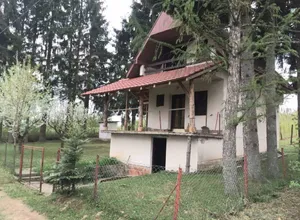 Prodaja Vila - Vrnjačka Banja, Goč