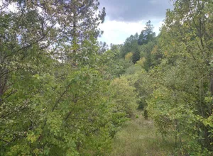 Prodaja Plac - Bajina Bašta, Zaovine