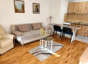 Izdavanje Stan - Novi Sad, Salajka