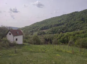 Prodaja Plac - Užice, Volujac, Stapari