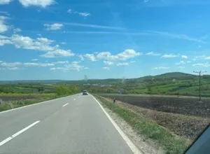 Prodaja Vila - Knić