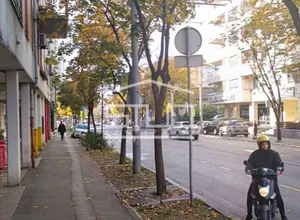 Izdavanje Stan - Beograd