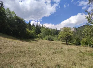 Prodaja Plac - Bajina Bašta, Zaovine