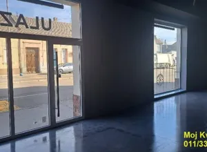 Izdavanje Lokal - Pančevo, Vojlovica