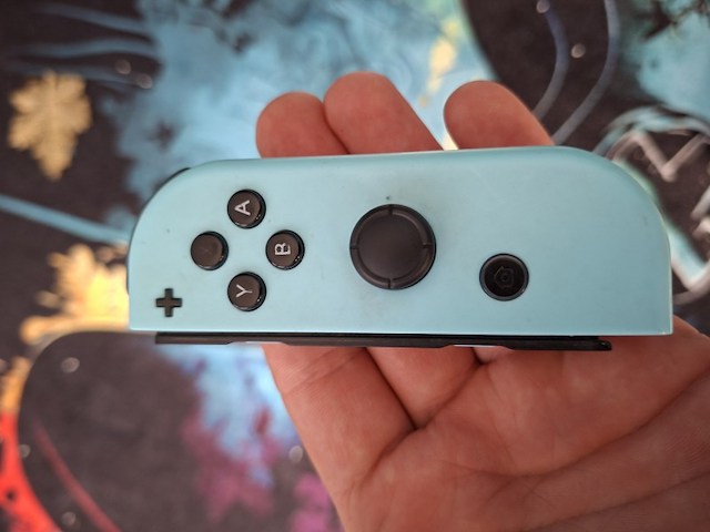 Nintendo Switch Joy-con Polovan