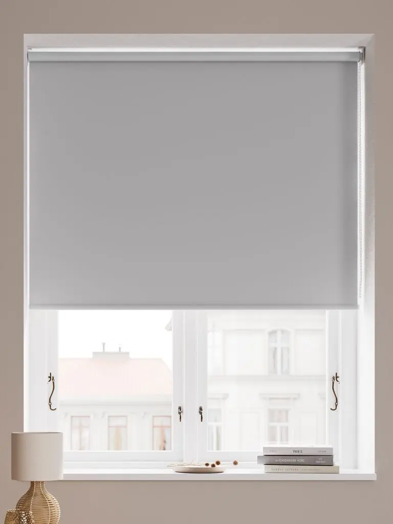 Zatamnjuјuća roletna Aurora, 100 x 170 cm, svetlo siva