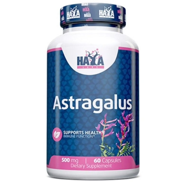 Astragalus 500mg 60caps