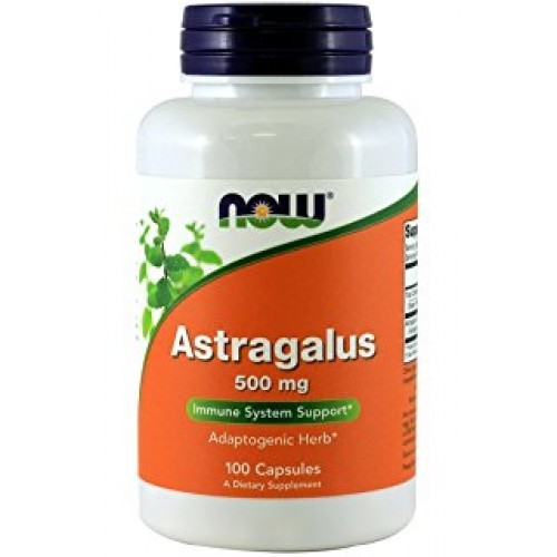 Astragalus 500mg, 100 Kapsula