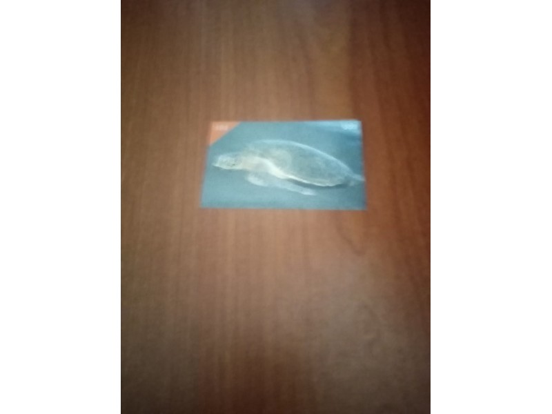 Životinjsko carstvo broj 103