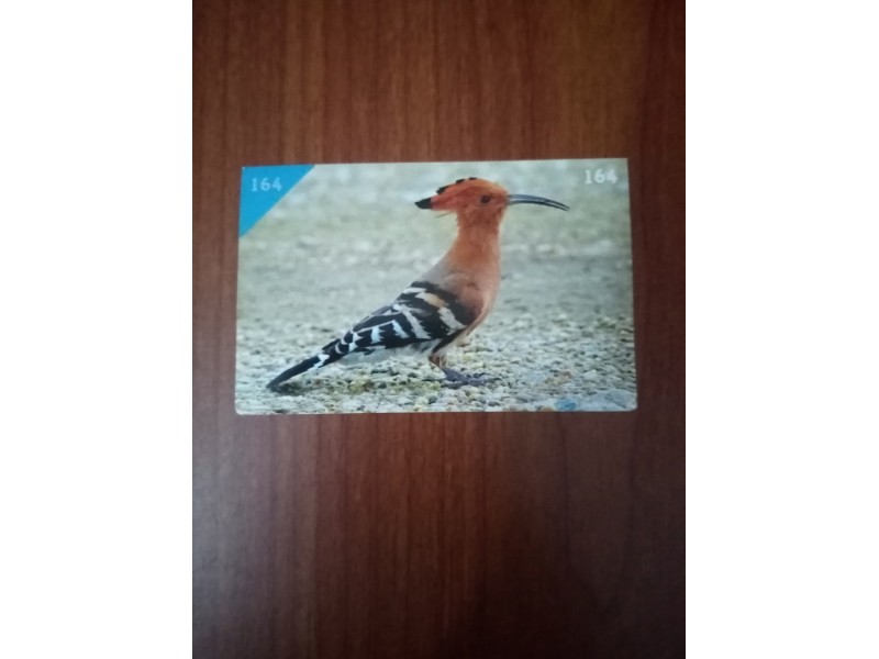 Životinjsko carstvo broj 164