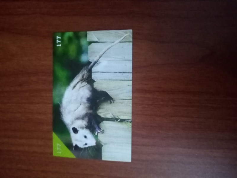 Životinjsko carstvo broj 177