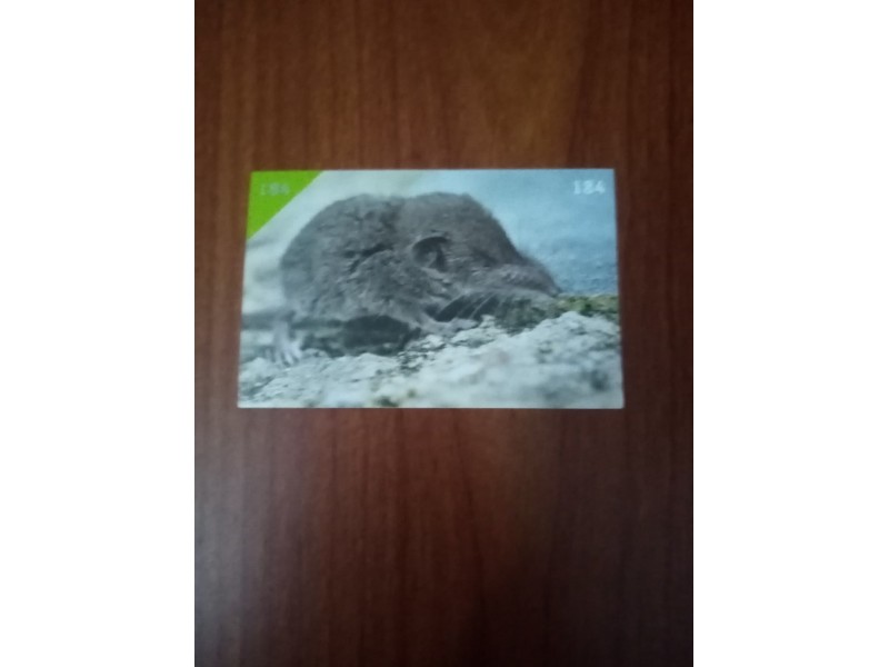 Životinjsko carstvo broj 184