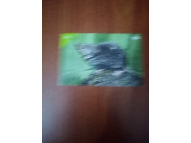 Životinjsko carstvo broj 185