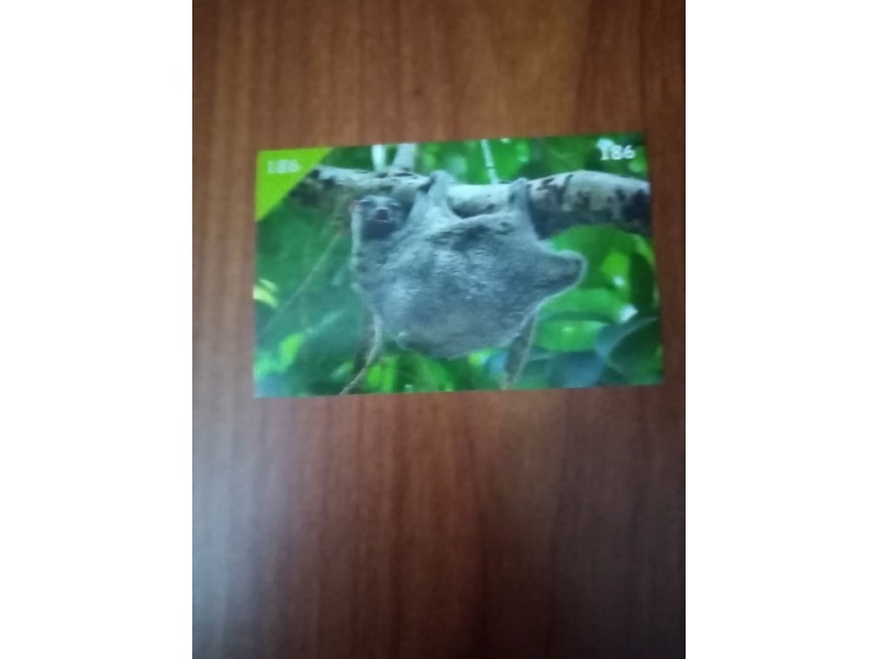 Životinjsko carstvo broj 186