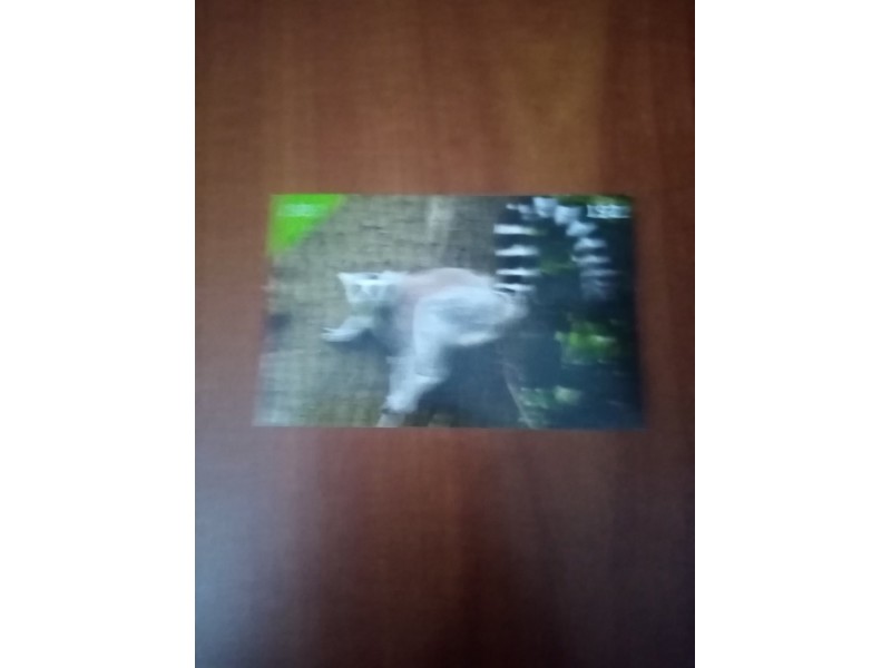 Životinjsko carstvo broj 192