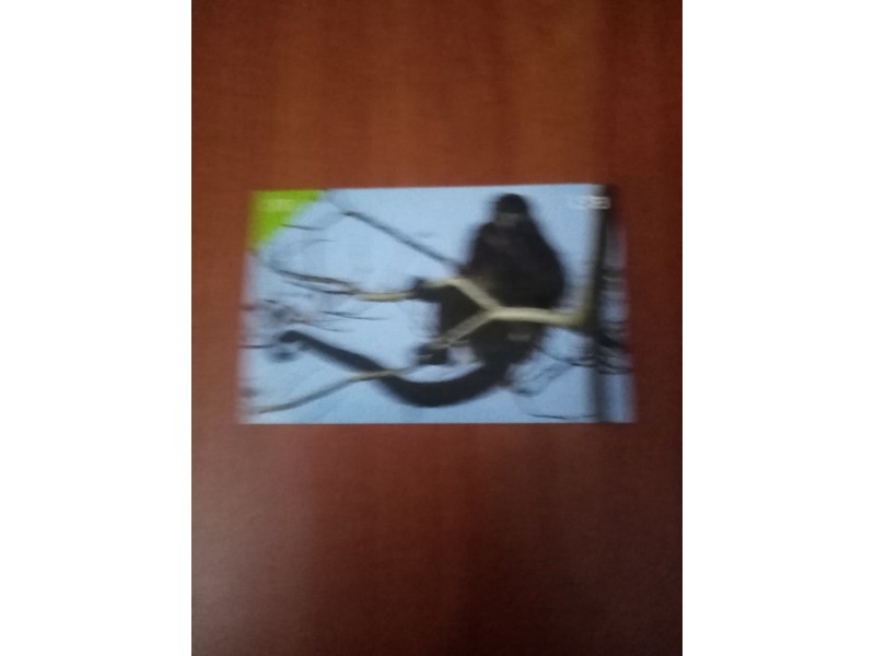 Životinjsko carstvo broj 193