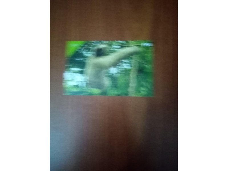 Životinjsko carstvo broj 199