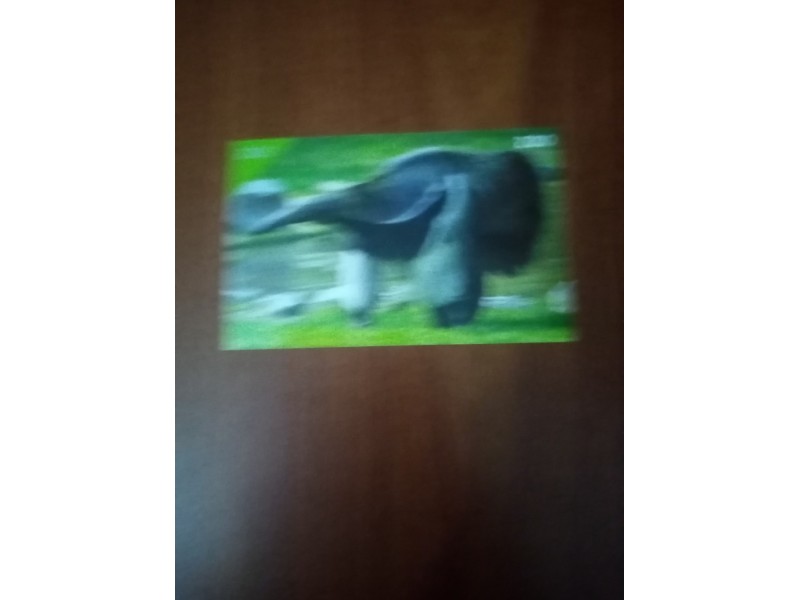 Životinjsko carstvo broj 200