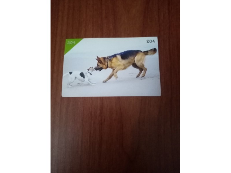 Životinjsko carstvo broj 204