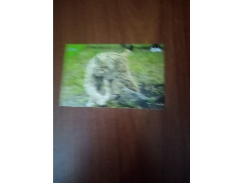 Životinjsko carstvo broj 206