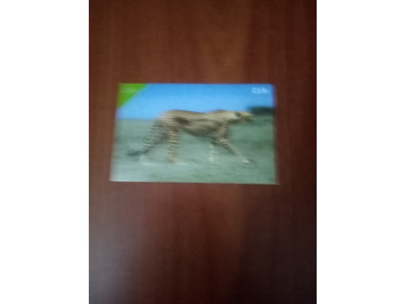 Životinjsko carstvo broj 216