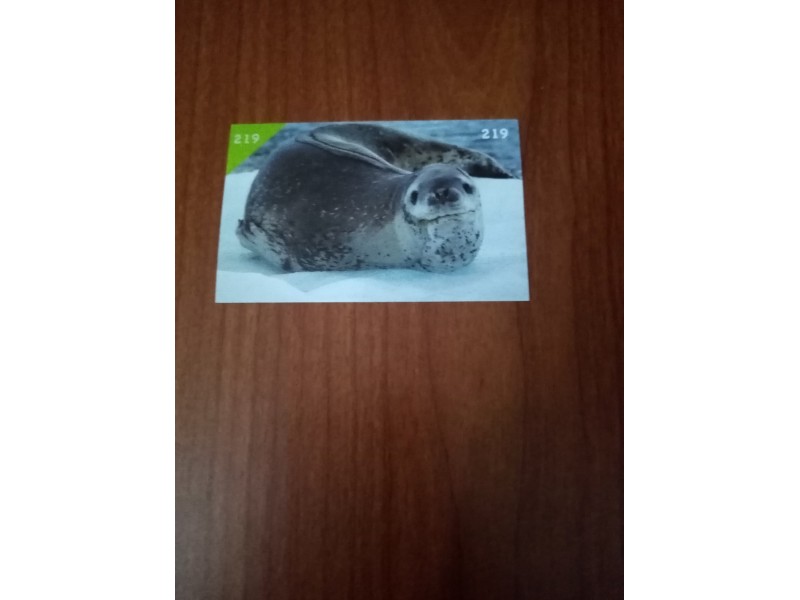 Životinjsko carstvo broj 219
