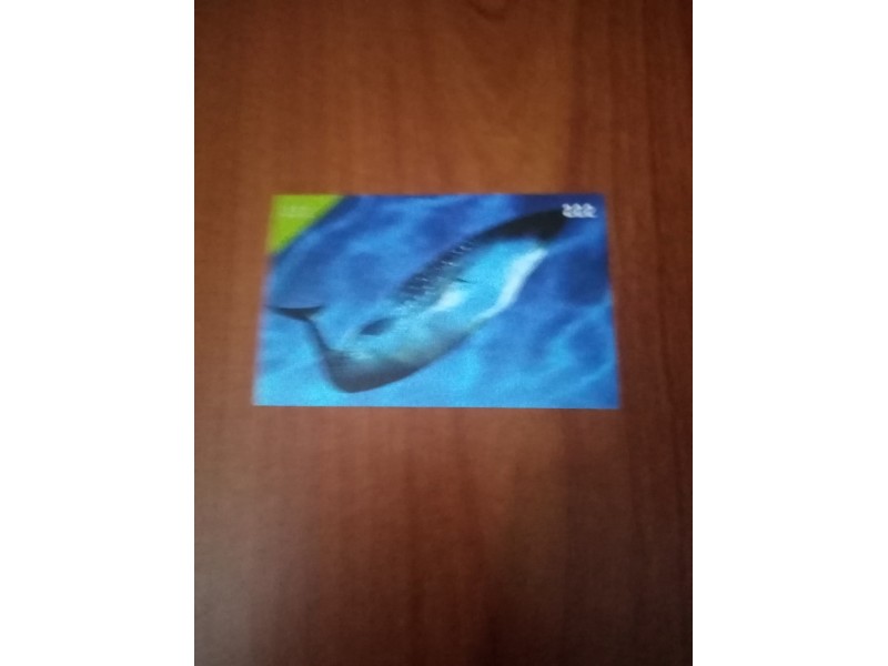 Životinjsko carstvo broj 222