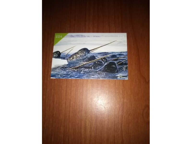 Životinjsko carstvo broj 224