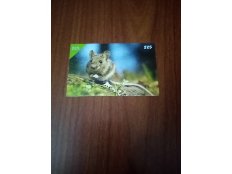 Životinjsko carstvo broj 225
