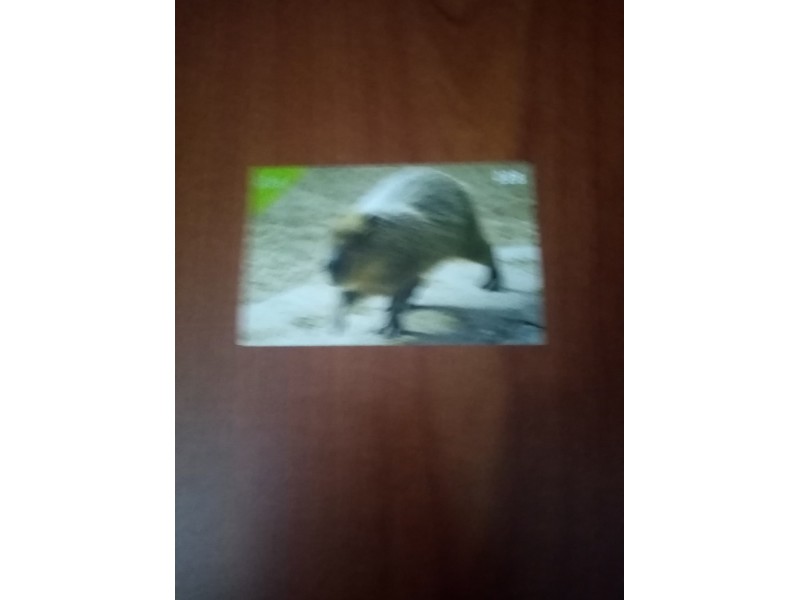 Životinjsko carstvo broj 228