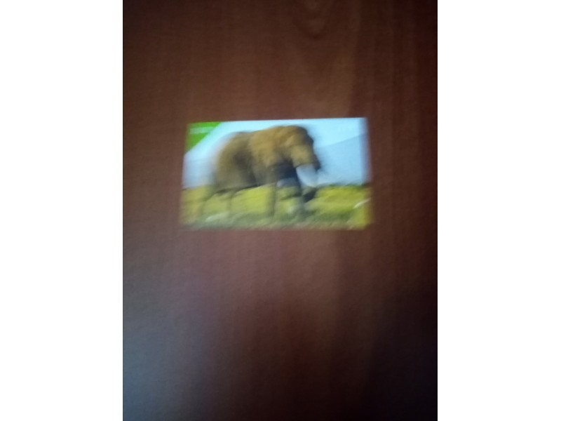 Životinjsko carstvo broj 229