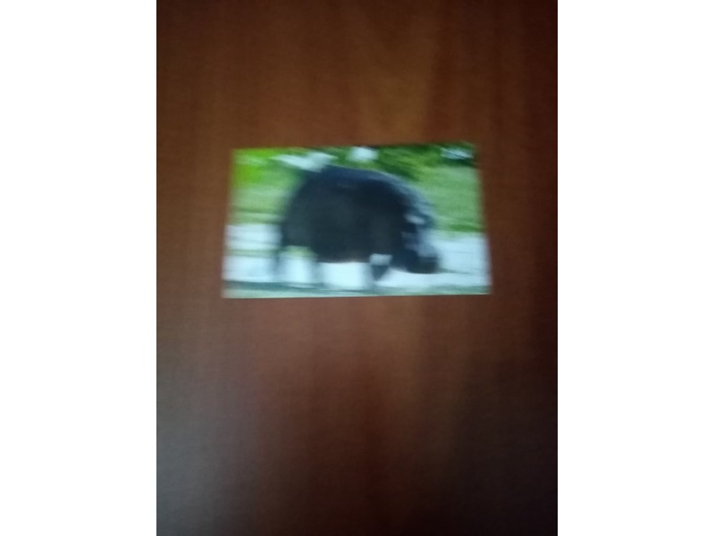 Životinjsko carstvo broj 234