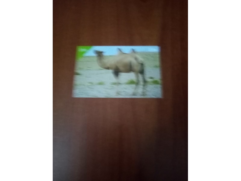 Životinjsko carstvo broj 236
